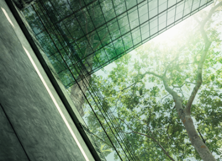 Belimo 50 years anniversary